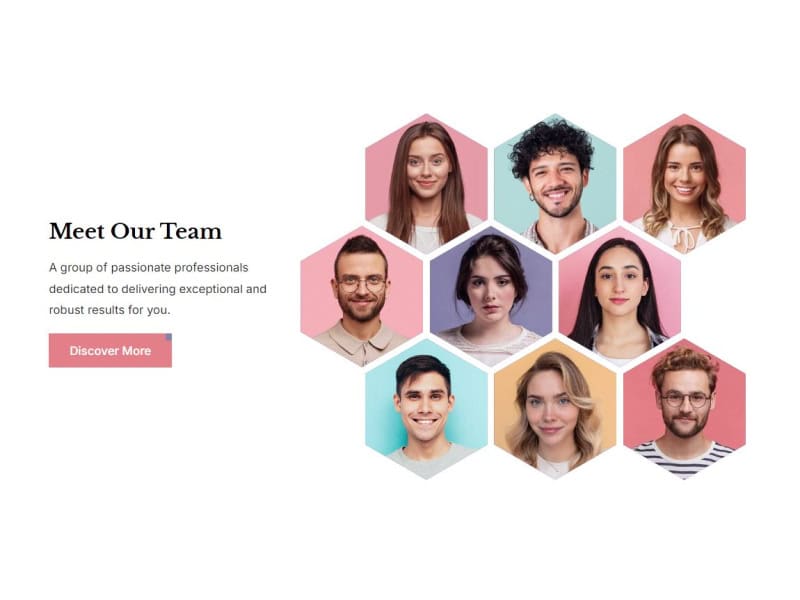 Hexagon Grid with Team Members - TheEcoHunter